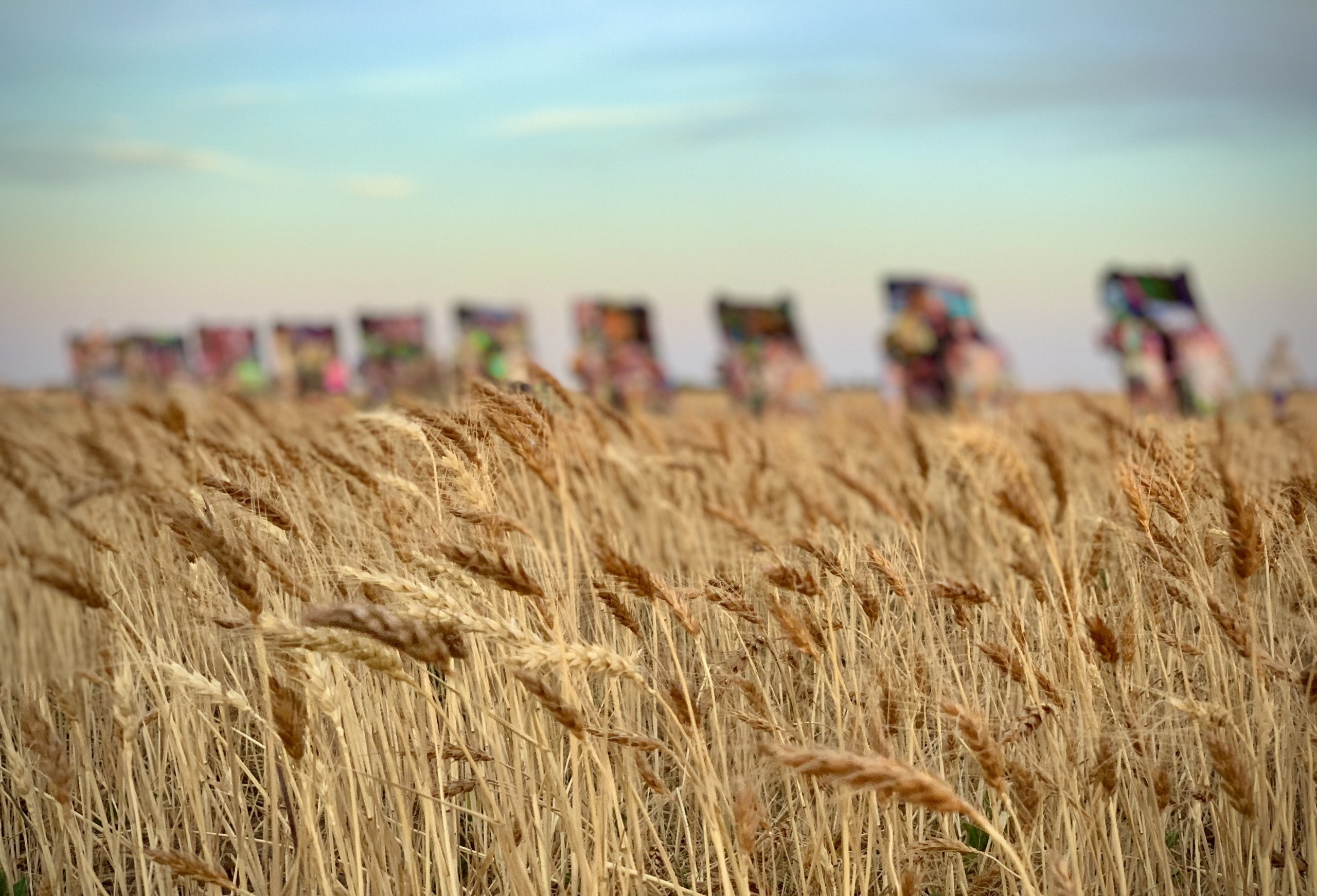 Cadillac Ranch: 3 Tips to Know Before You Go - Chloe Gee
