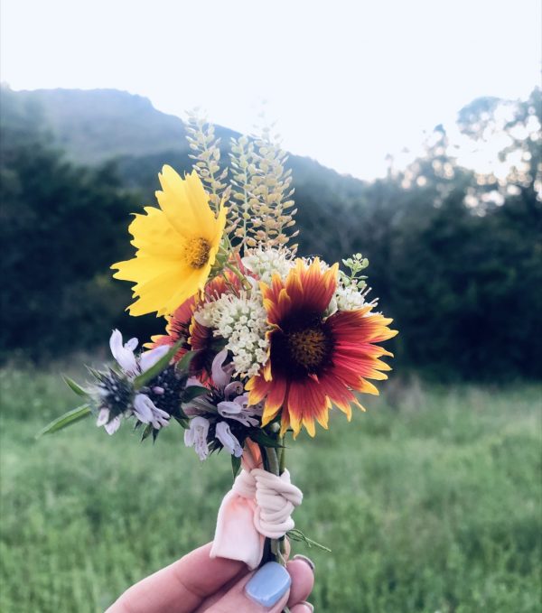 Hiking Wichita Mountains: The Parallel Forest - Chloe Gee
